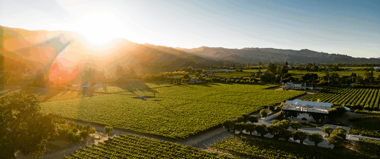 Rutherford Estate – Rutherford Bench Appellation – Single Vineyard ...